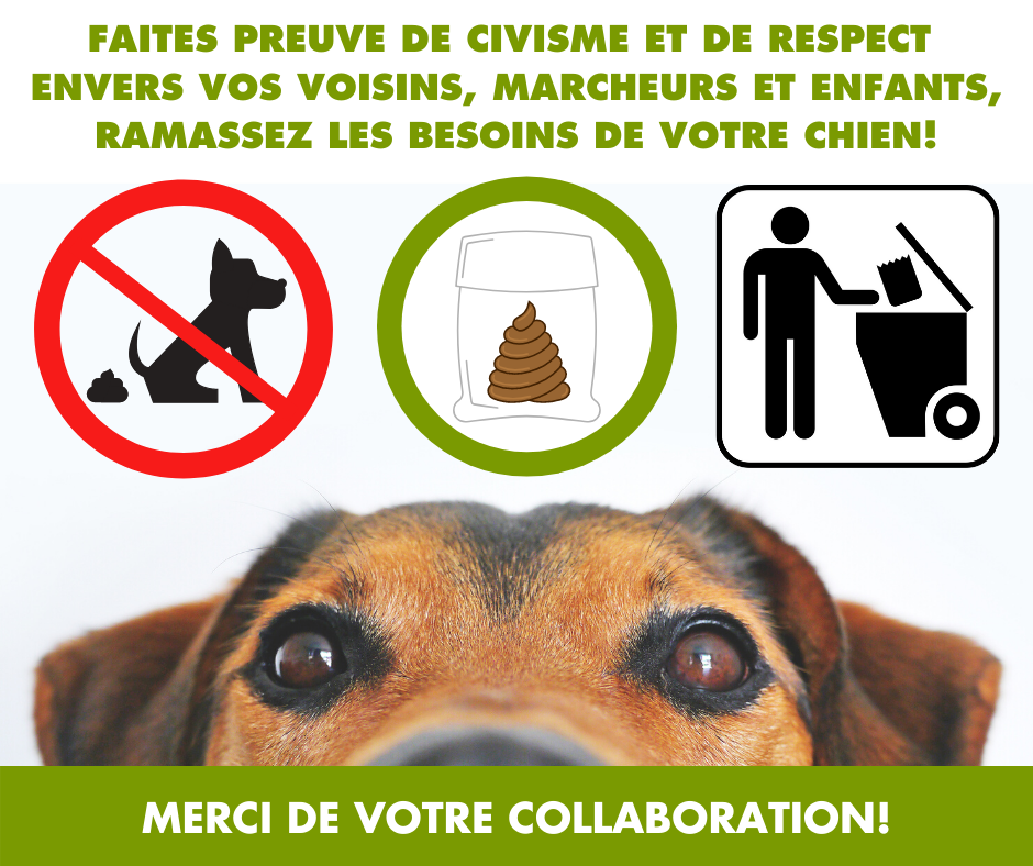 [LES DEJECTIONS CANINES_JAUSIERS]